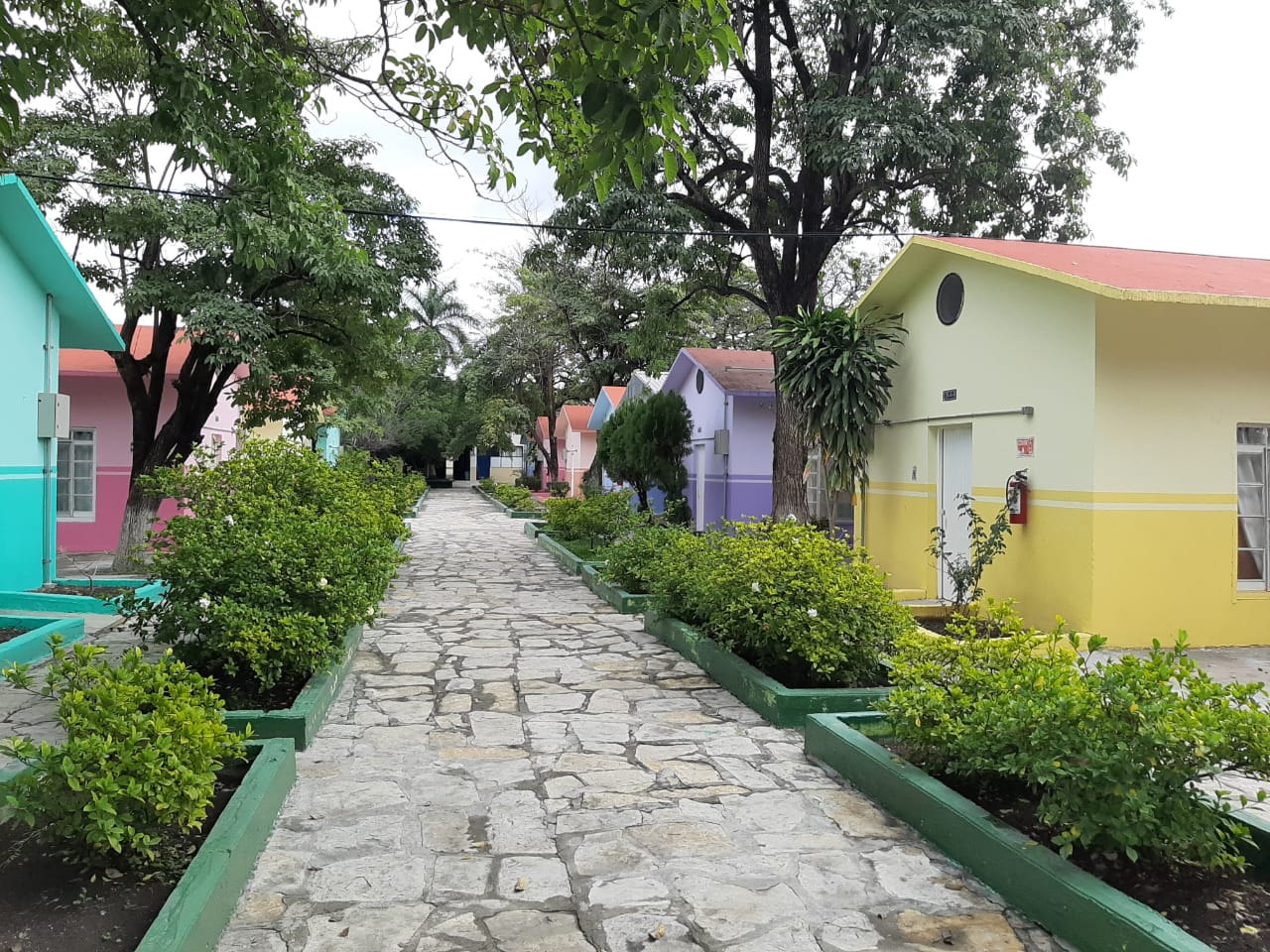 Colegio Motolinía – De Ciudad Valles